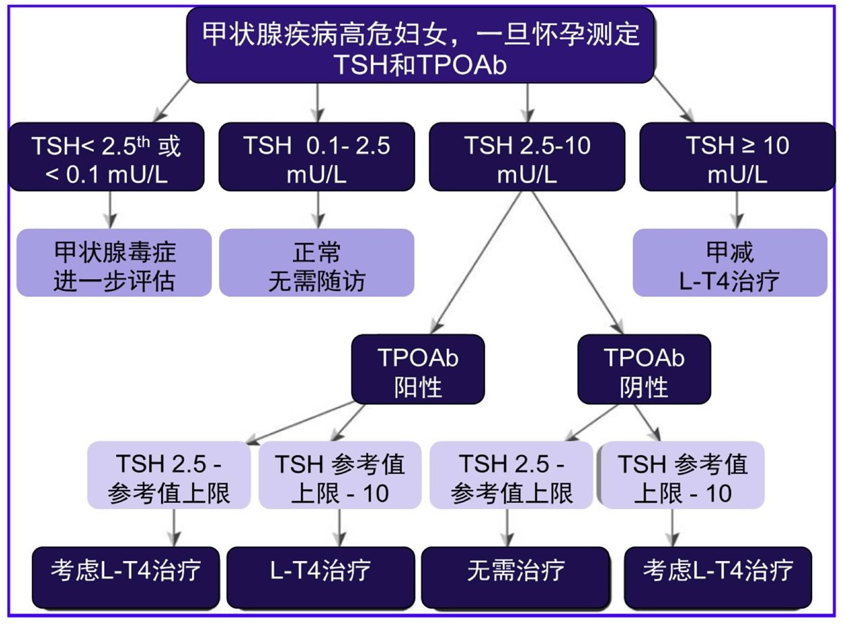 备孕或妊娠妇女TSH的控制目标是什么，何时需要药物干预？ - 好大夫在线
