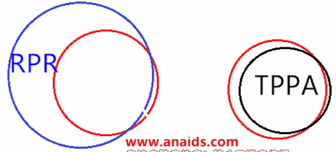 武汉市第六医院TOMO中心-教你如何读懂梅毒化验单：RPR和TPPA是什么_梅毒_梅毒检查 - 好大夫在线