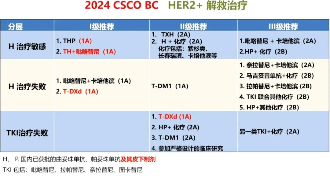 2024 CSCO BC指南对HER2阳性晚期乳腺癌最新治疗进展更新_乳腺癌_治疗方式_日常注意事项 - 好大夫在线