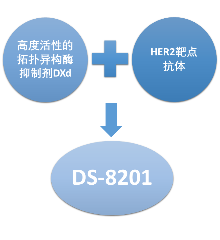 DS-8201国内获批，HER2阳性晚期乳腺癌患者新希望_乳腺癌_治疗方式_日常注意事项 - 好大夫在线