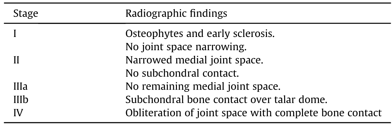 踝关节骨性关节炎的Takakura分级法_踝关节骨性关节炎治疗的当前观点（2020） - 好大夫在线