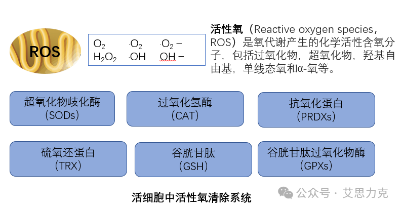 科研干货 | 一文搞懂流式活性氧（ROS）实验_肺癌_肺癌检查 - 好大夫在线