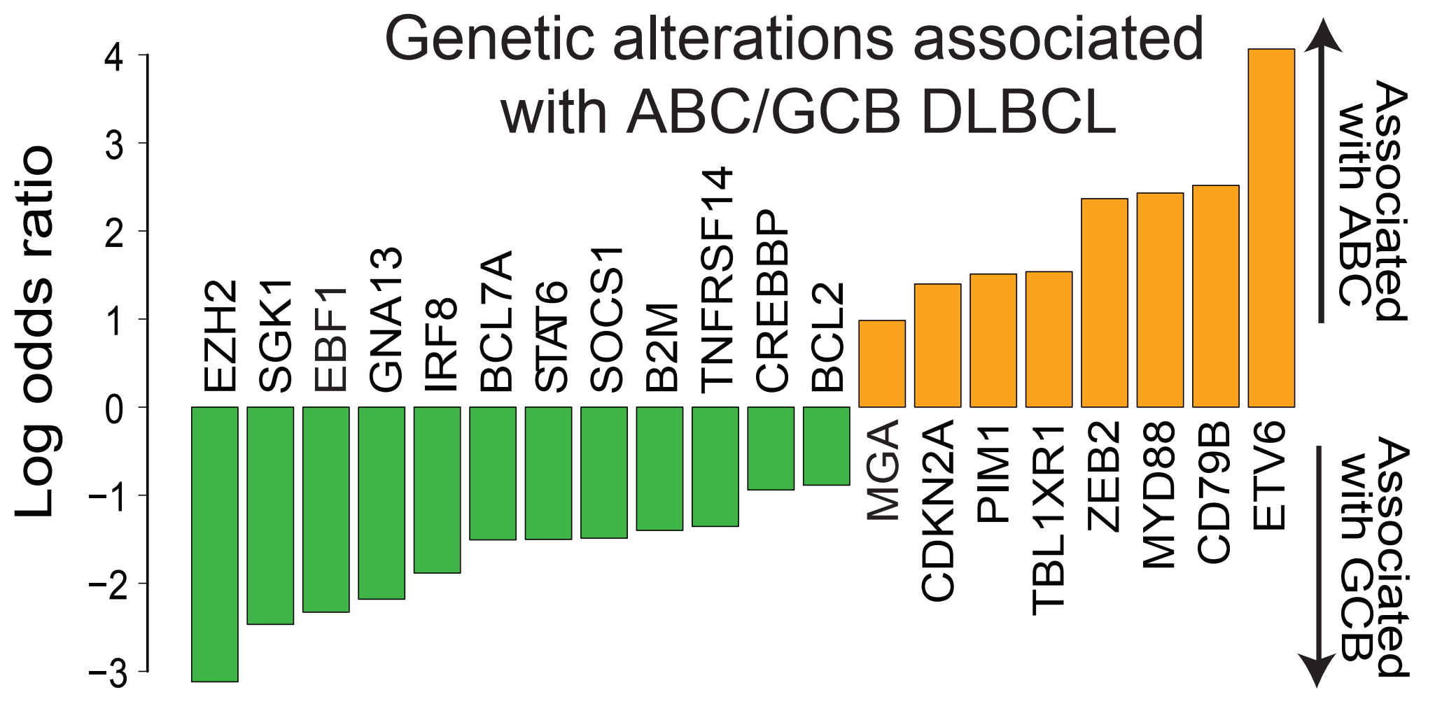 弥漫大B细胞淋巴瘤（DLBCL）基因分型_淋巴瘤_淋巴瘤介绍 - 好大夫在线
